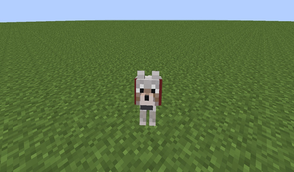 ¿Cómo Encontrar Lobos y Perros en Minecraft y como Domesticarlos ...